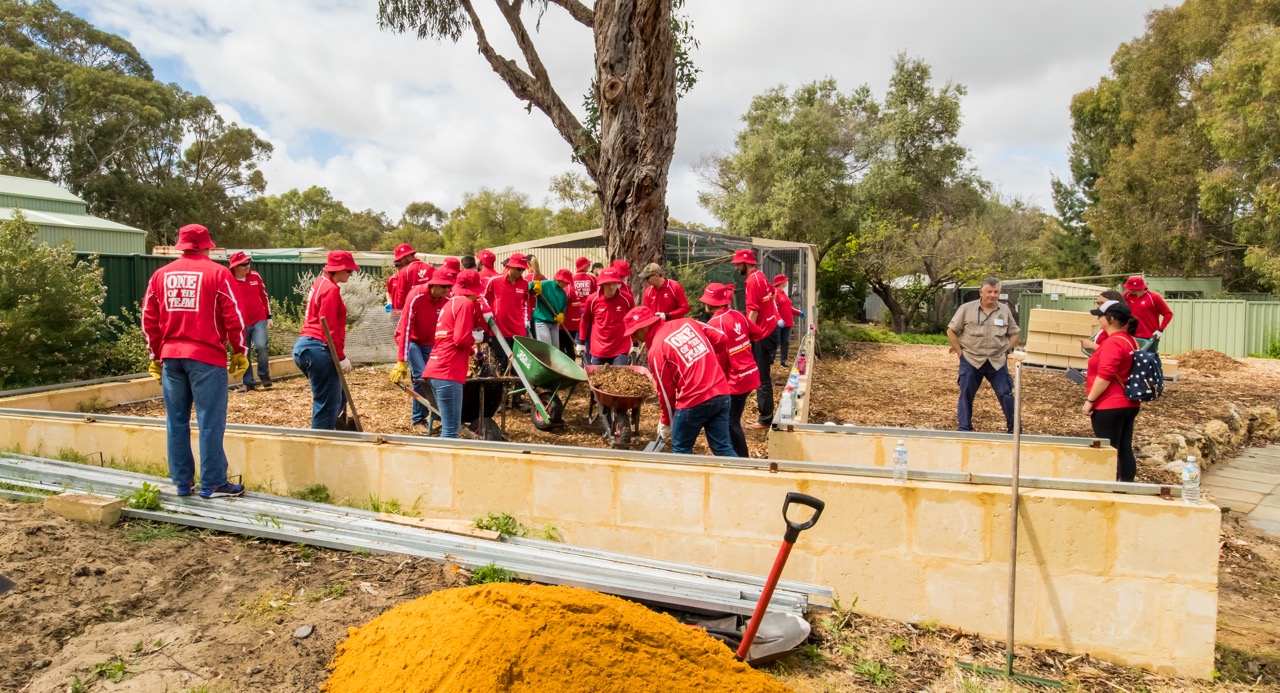 Corporate Volunteering - WA Wildlife - Wildlife Rescue