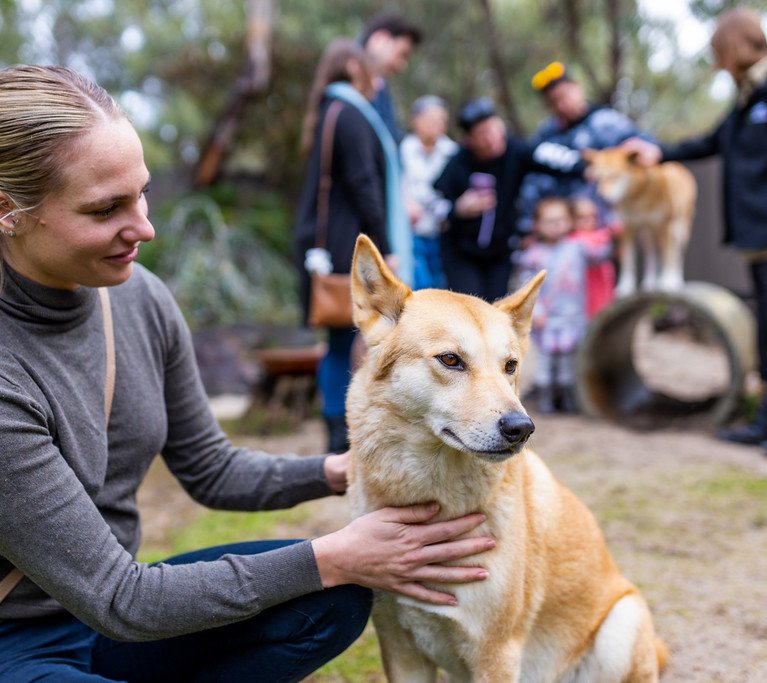 Daily Tours! - WA Wildlife - Animal Rehabilitation